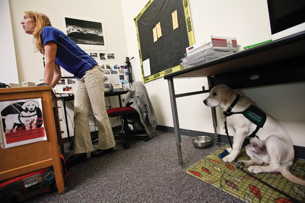 Man’s best friend trained as guide dog at Ben lomond High classroom ...